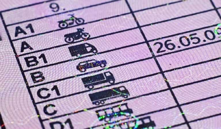 Tipos de carnet de conducir en España - LAB-ES